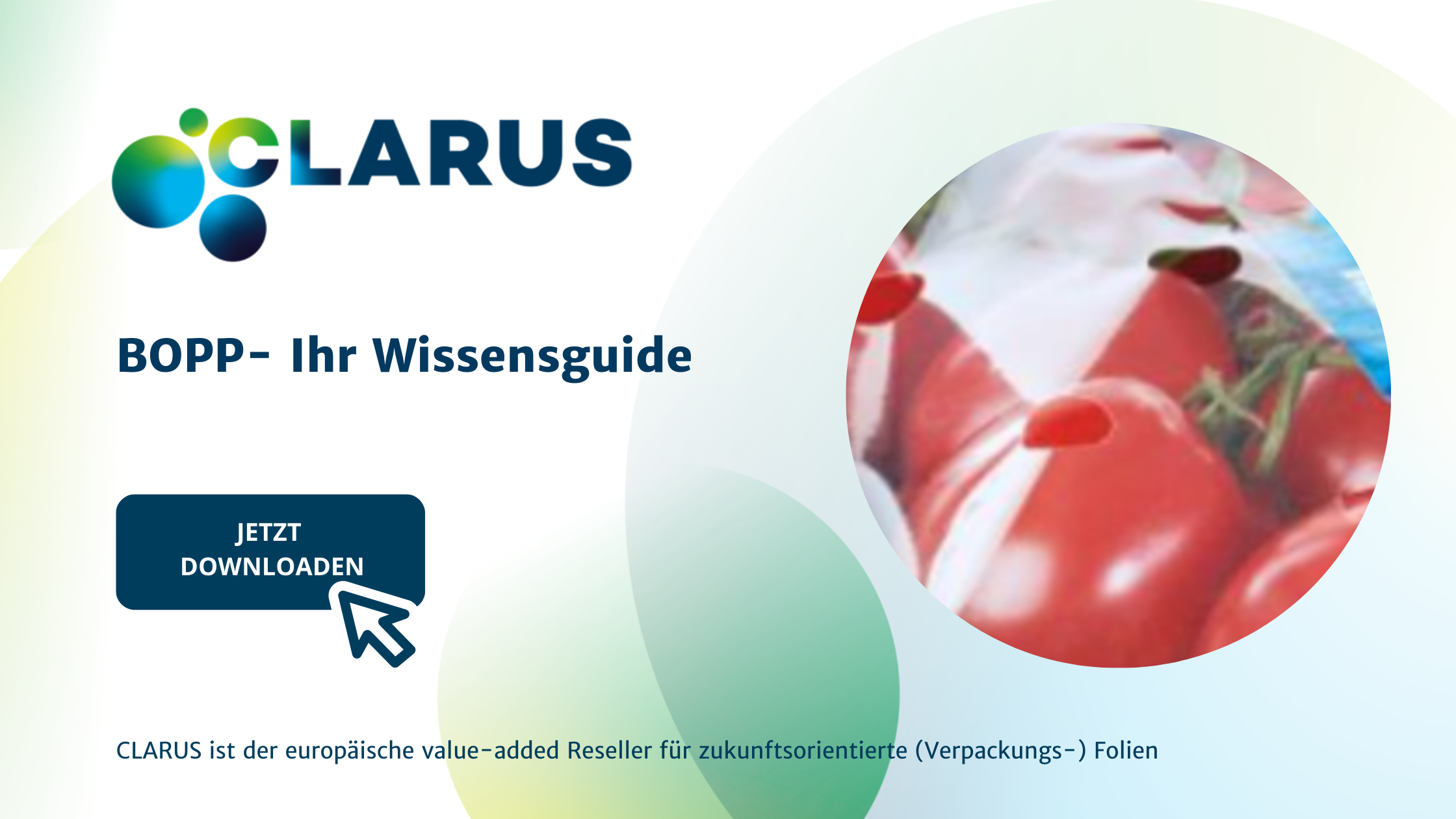 BOPP-Wissen by Clarus Films GmbH